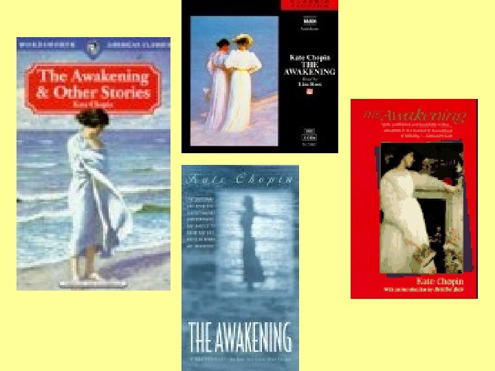 Kate Chopin The Awakening Literary Perspectives Critical Responses