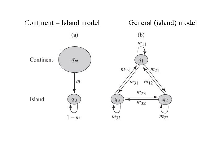 What causes geographic populations to become differentiated Natural
