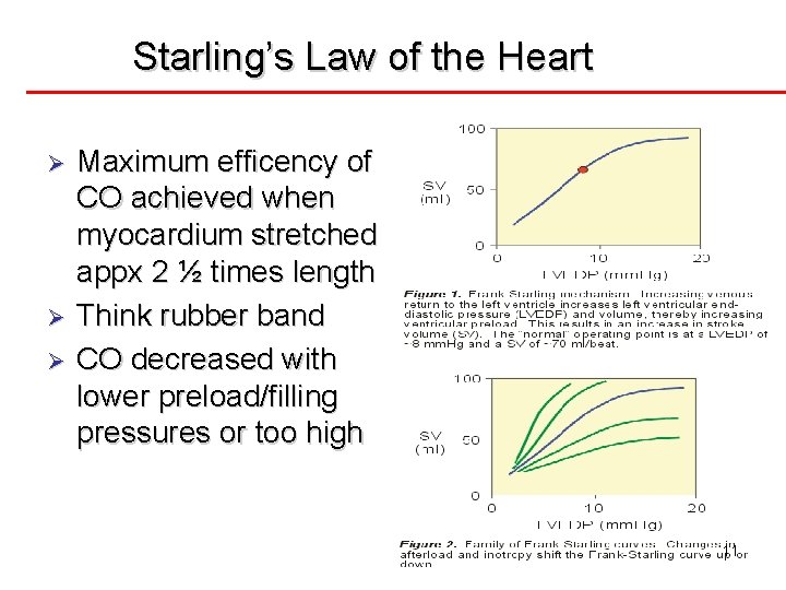 Nursing Assessment of the Cardiovascular System Keith Rischer