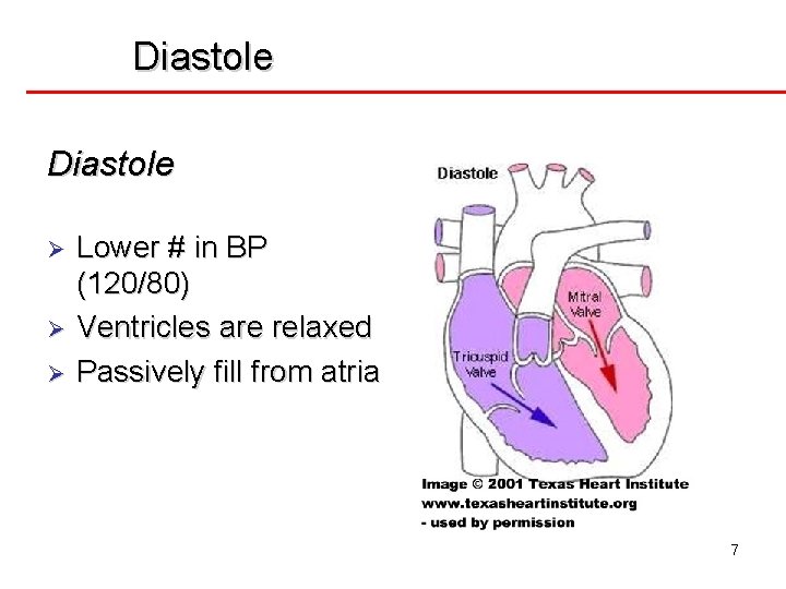 Nursing Assessment of the Cardiovascular System Keith Rischer