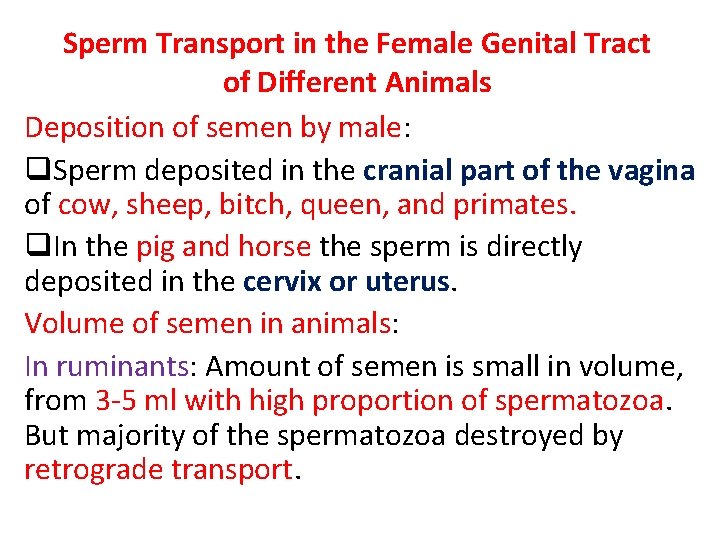 Sperm Transport in the Female Genital Tract of