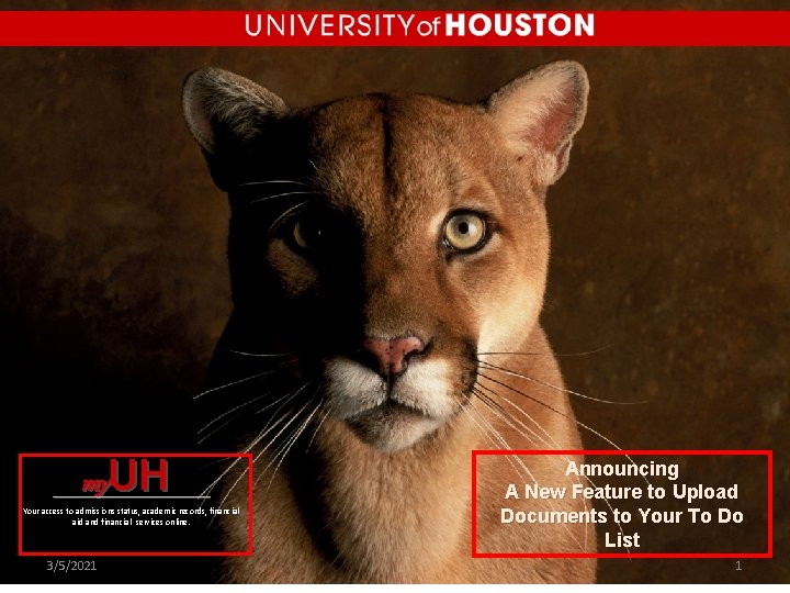 my UH Your access to admissions status academic