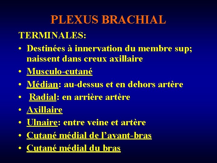 PLEXUS BRACHIAL PLEXUS BRACHIAL branches antrieures des 4
