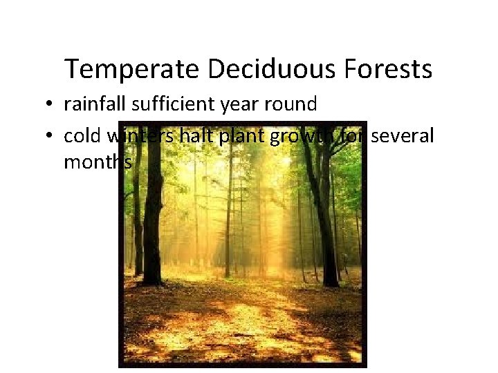 Temperate Deciduous Forests Eastern coast of US Southern
