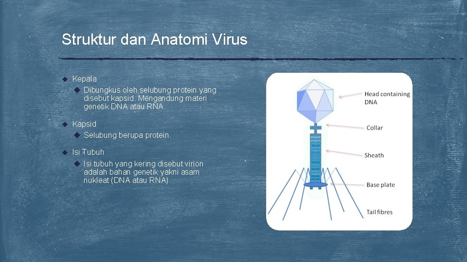 April 2015 2 2 Virus Identifikasi dan Peranan