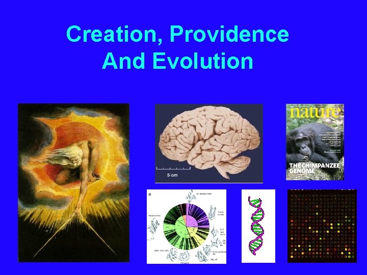 Creation Providence And Evolution Lecture RoadMap 1 A