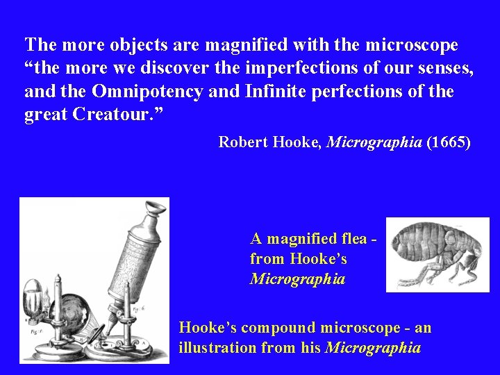 Creation Providence And Evolution Lecture RoadMap 1 A