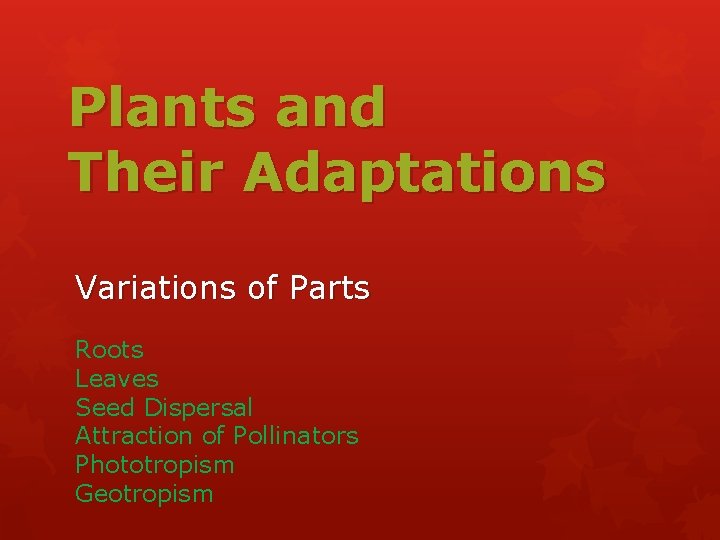 Plants and Their Adaptations Variations of Parts Roots
