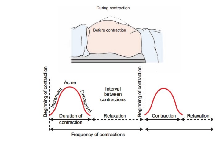 Dr Areefa Al Bahri Ch 5 The Birth