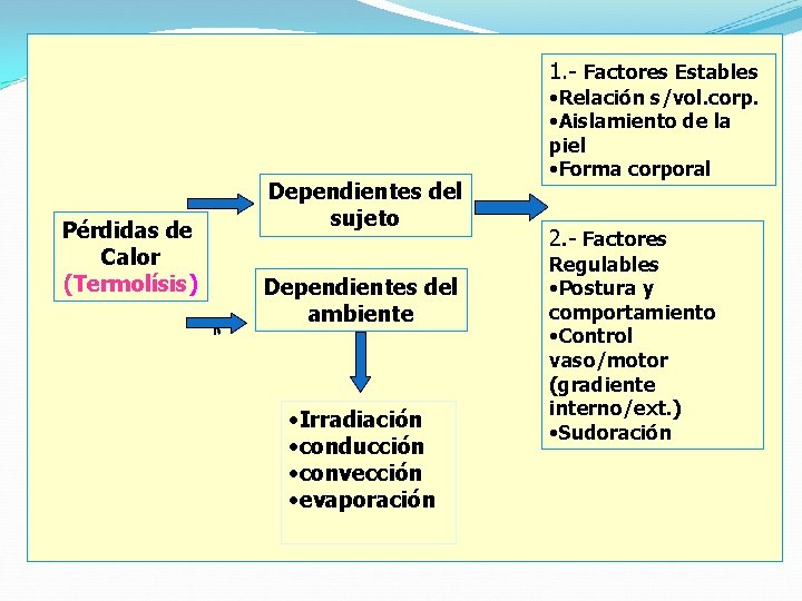 TERMOREGULACIN Patricia Trivio V EnfermeraUACH ENFA 112 2011