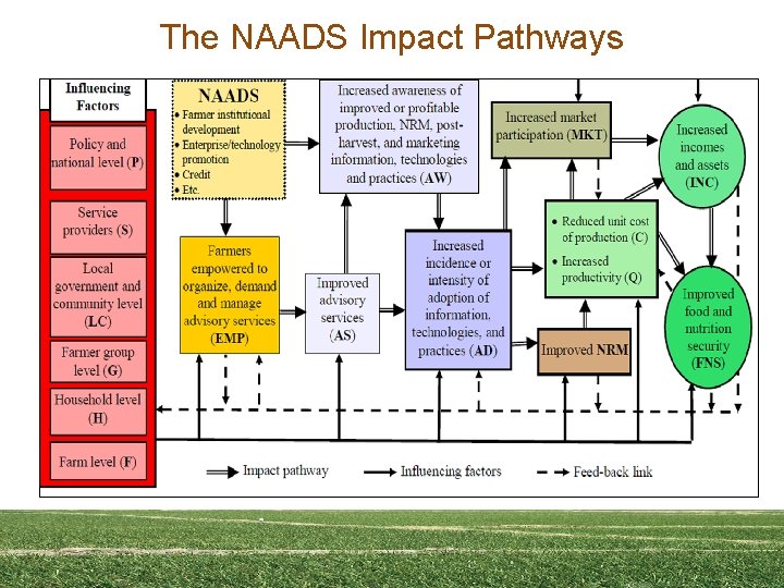 Budget Efficiency Case of National Agricultural Advisory Services