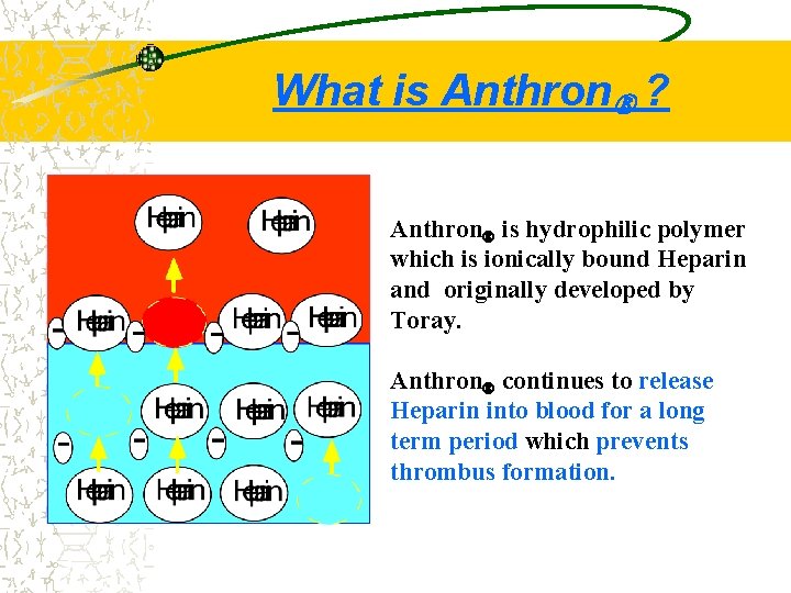 HAIC Toray Anthron PU Catheter Contents HAIC Advantages