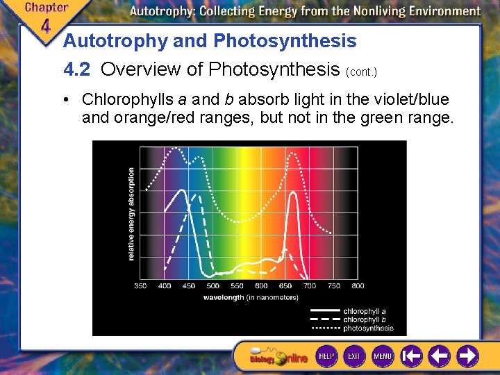 Chapter Menu Chapter Introduction Autotrophy and Photosynthesis 4