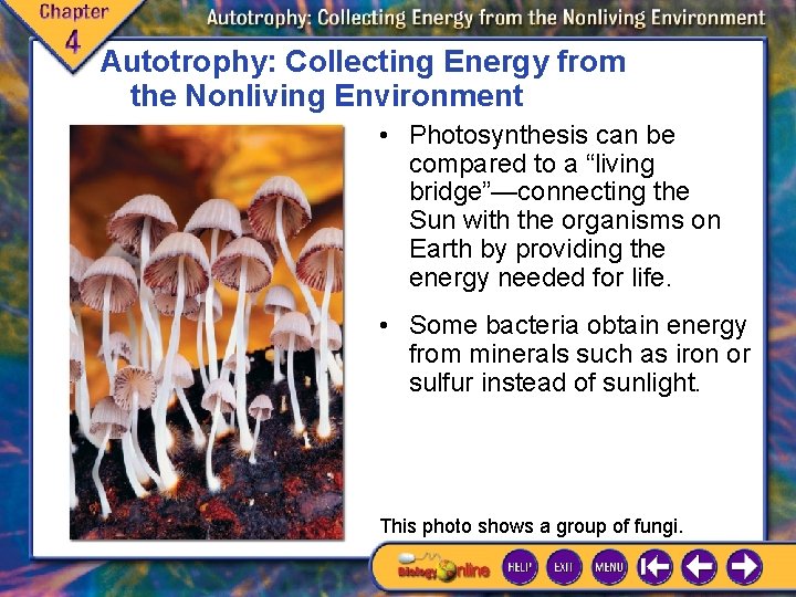 Chapter Menu Chapter Introduction Autotrophy and Photosynthesis 4