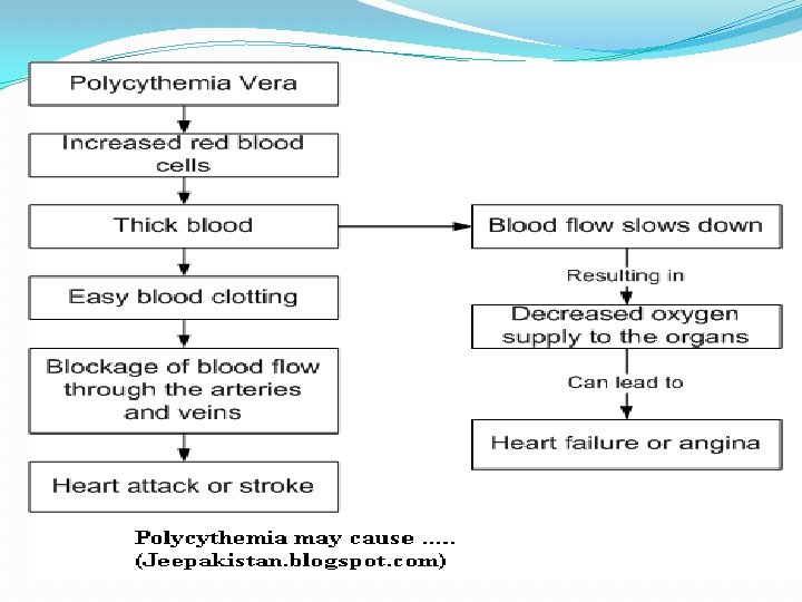 Lecture 4 Polycythemia causes clinical signs and labortary