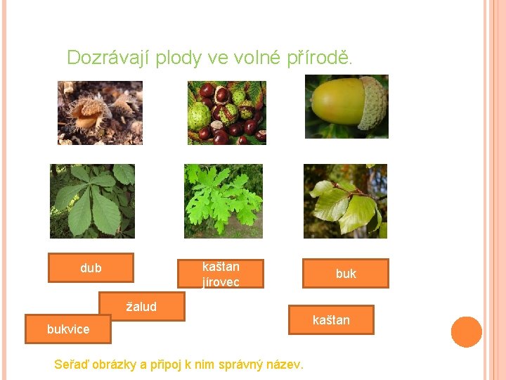 Svt kolem ns Podzim Tento Digitln uebn materil