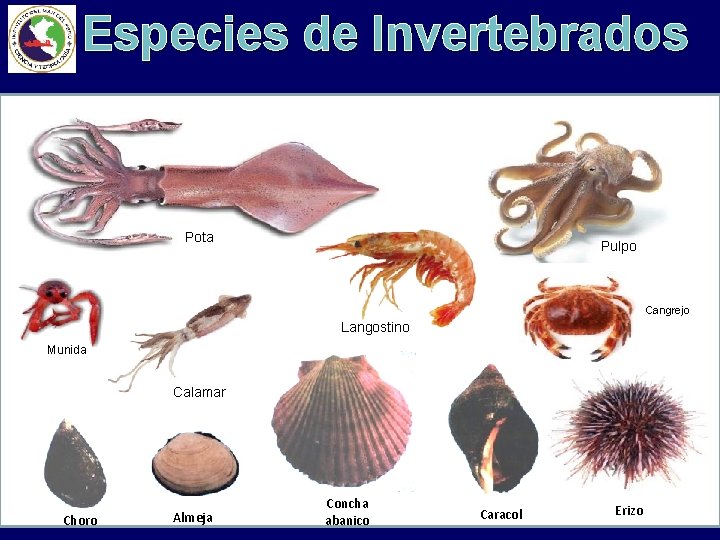 INSTITUTO DE ESTUDIOS HISTRICO MARTIMOS DEL PER SIMPOSIO