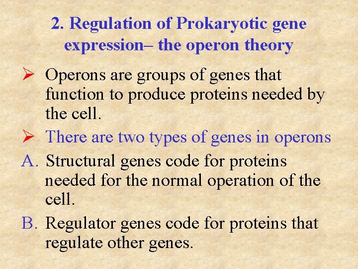 Regulation of gene expression References 1 Stryer Biochemistry