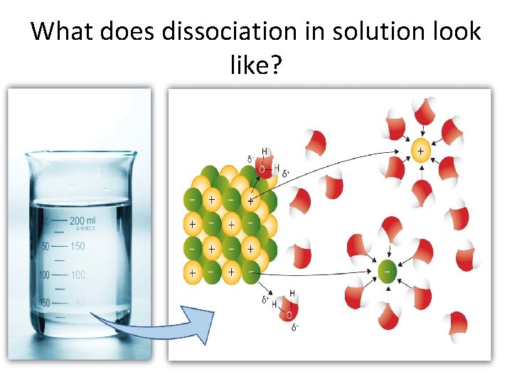 The Chemistry of Acids and Bases Part 1