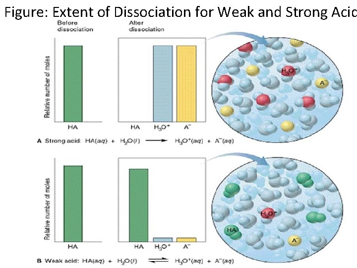 The Chemistry of Acids and Bases Part 1