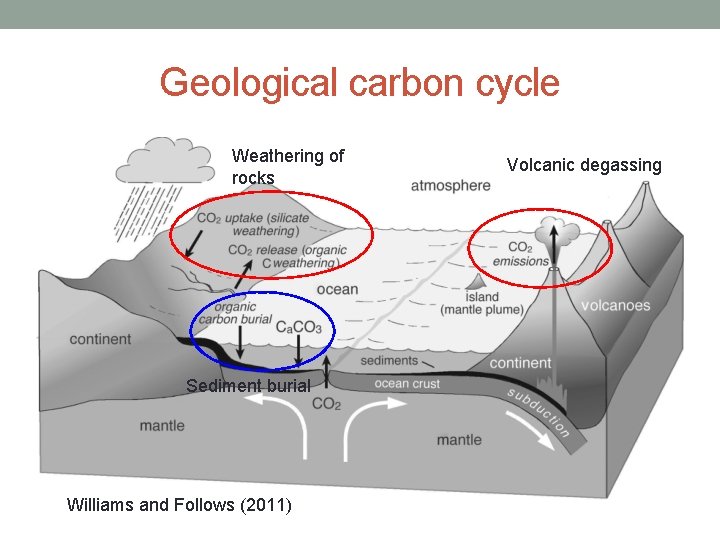 GEOLOGIC CARBON CYCLE Textbook chapter 5 6 14