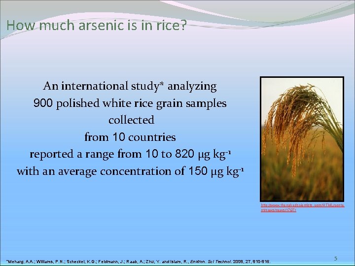 Arsenic as a Global Pollutant Arsenic in Rice