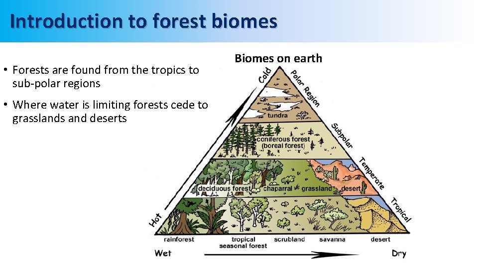 Bangladesh ClimateResilient Ecosystem Curriculum BACUM Module 3 Forest