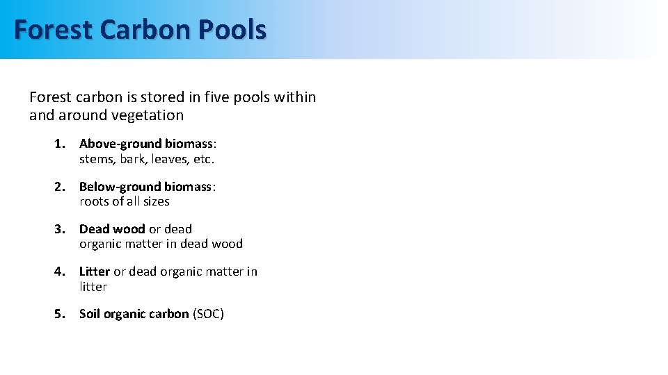 Bangladesh ClimateResilient Ecosystem Curriculum BACUM Module 3 Forest