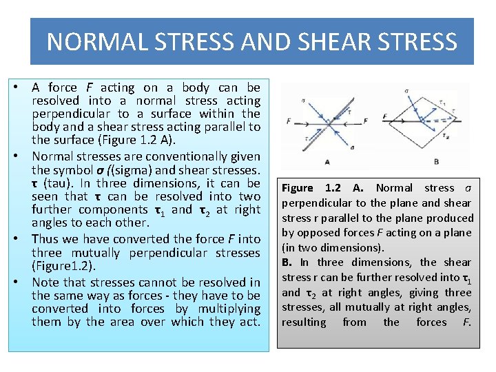 Concept of Stress By Amit Kumar Mishra Assistant