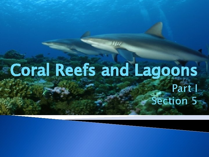 Coral Reefs and Lagoons Part I Section 5