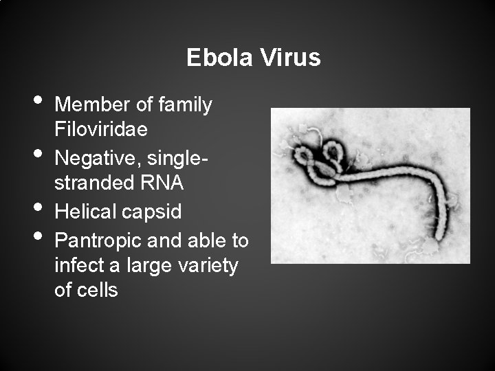 Ebola Hemorrhagic Fever Jessie Nipp Kristen Rhodin Frank
