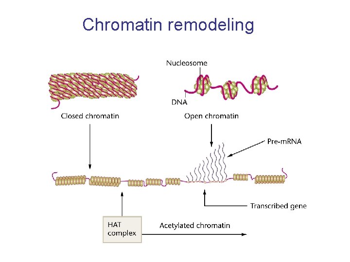 Announcements 1 Tuesday afternoon lab section lab start