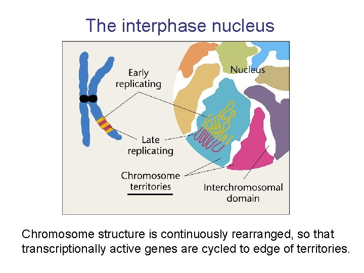 Announcements 1 Tuesday afternoon lab section lab start