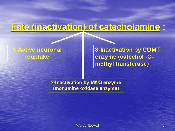 AUTONOMIC NERVOUS SYSTEM Dr Maha Hegazi Professor of