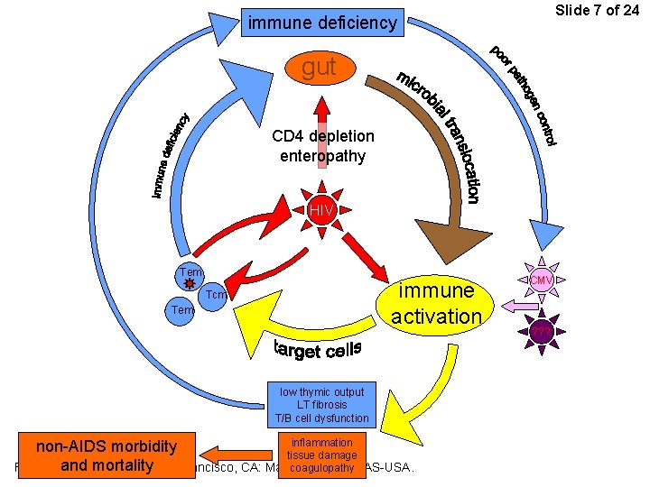 Slide 1 of 24 Immune Activation HIV Persistence