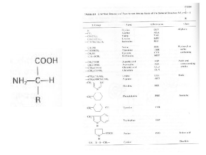 Molecular Biology Molecular Biology David Clark Cells DNA