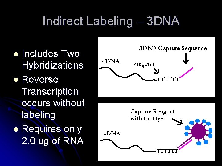 Using Microarrays to Measure Sequence Preferences of Berenil