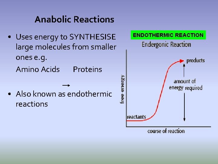Molecular interactions in cells Many Metabolic pathways biochemical