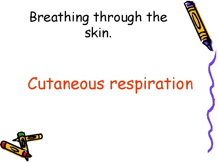 Amphibian Chapter Review Good Luck What is the