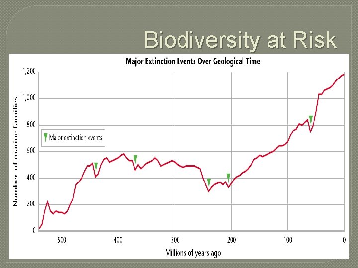 Extinction and Invasive species Biodiversity at Risk The
