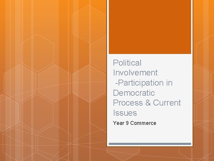 Political Involvement Participation in Democratic Process Current Issues