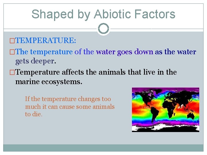 Marine Ecosystems SALT WATER Life in the Oceans