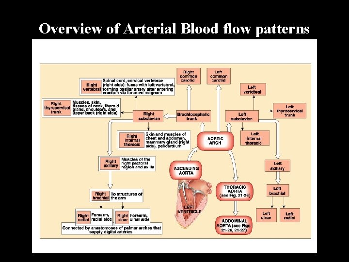 PTAOTA 106 Unit 1 Lecture 3 The Basics