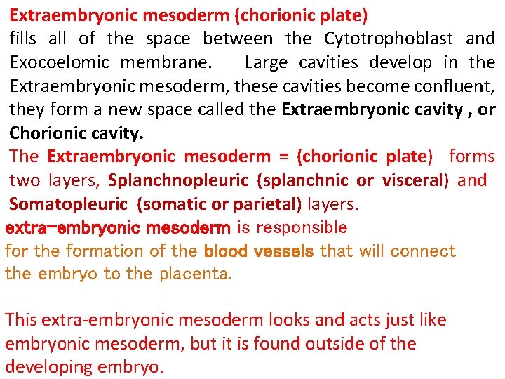 25 Development of Fetal membranes and placenta Prof