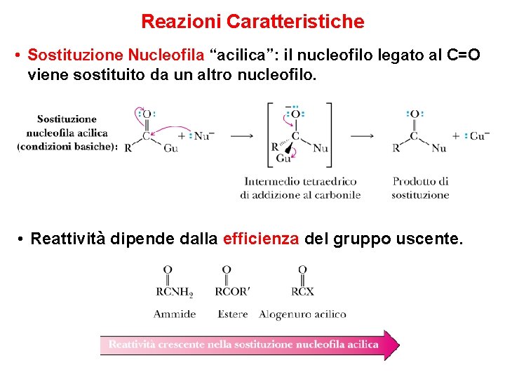 Chimica Organica e Biologica Prof Erik Laurini ESTERIAMMIDIALOGENURI
