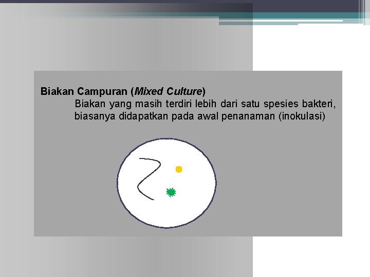 Teknik Isolasi pada Mikroba Populasi mikroba di alam