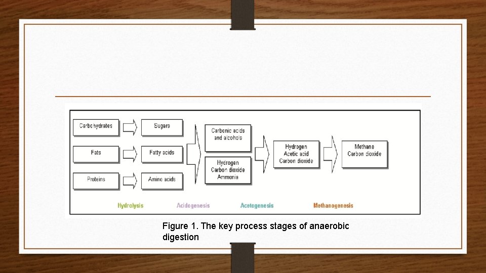 The main factors in the biogas production Dr