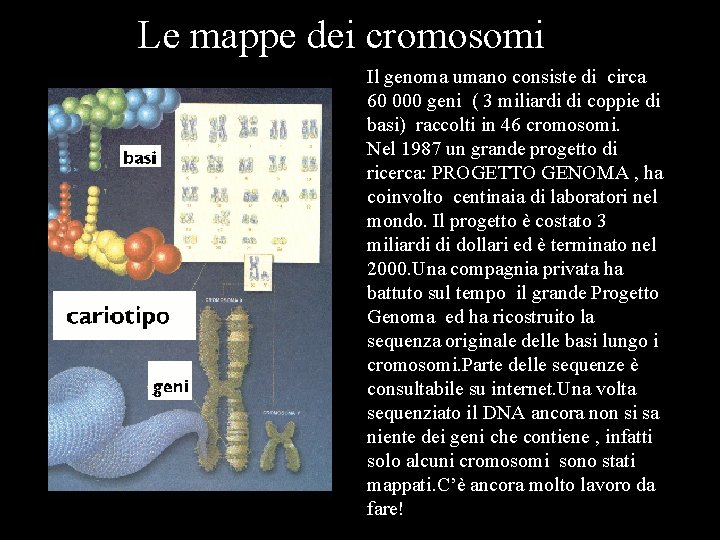 Progetto genoma umano Il genoma tappe dello studio