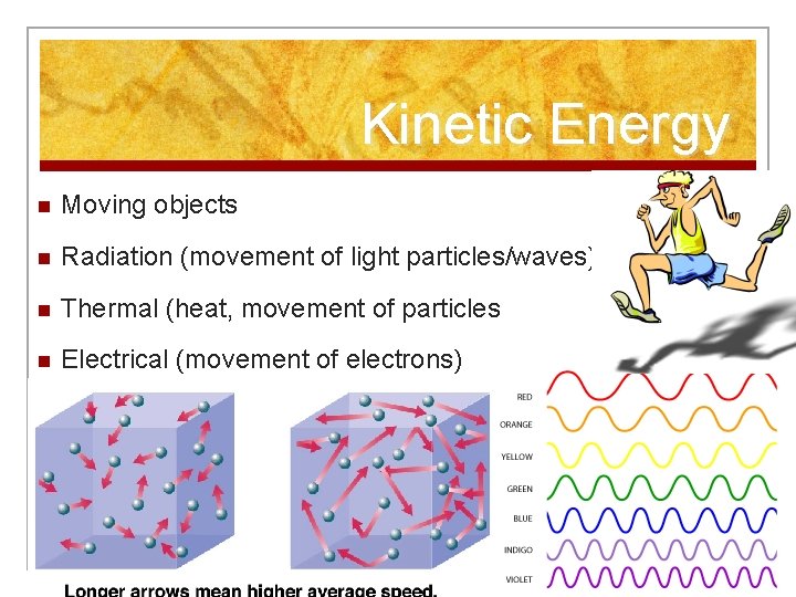 Big Idea 2 n Biological Systems utilize free