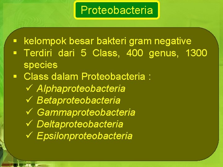 SISTEMATIKA BAKTERI Sistematika ilmu yang mempelajari keanekaragaman mahluk